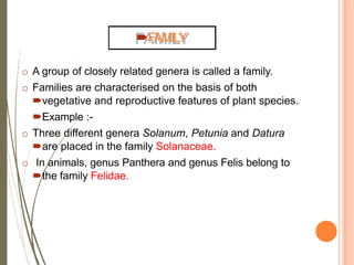 Remedial biology.pptx