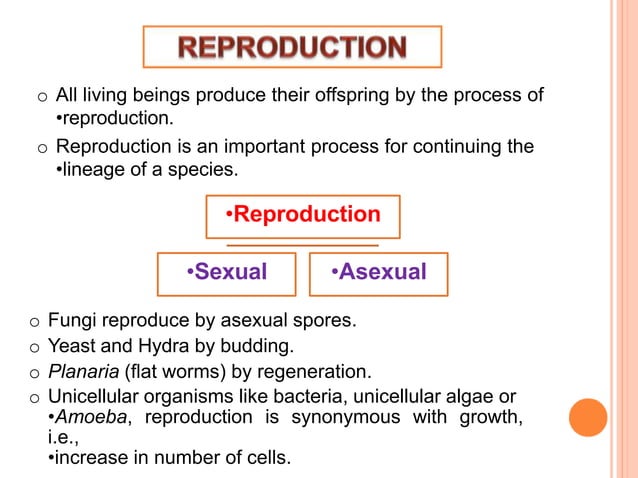 Remedial biology.pptx | Biological Sciences | Science