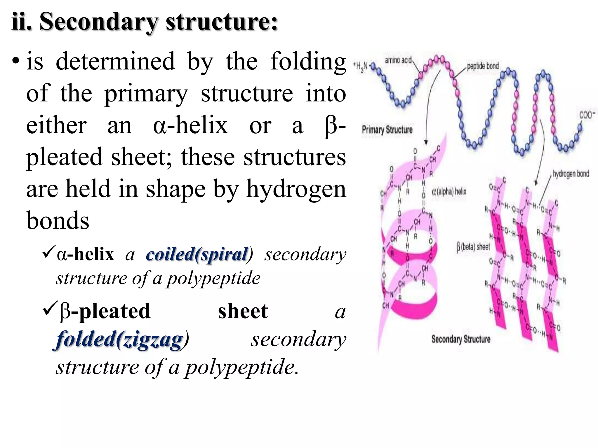 Remedial biology (1-5).pptx