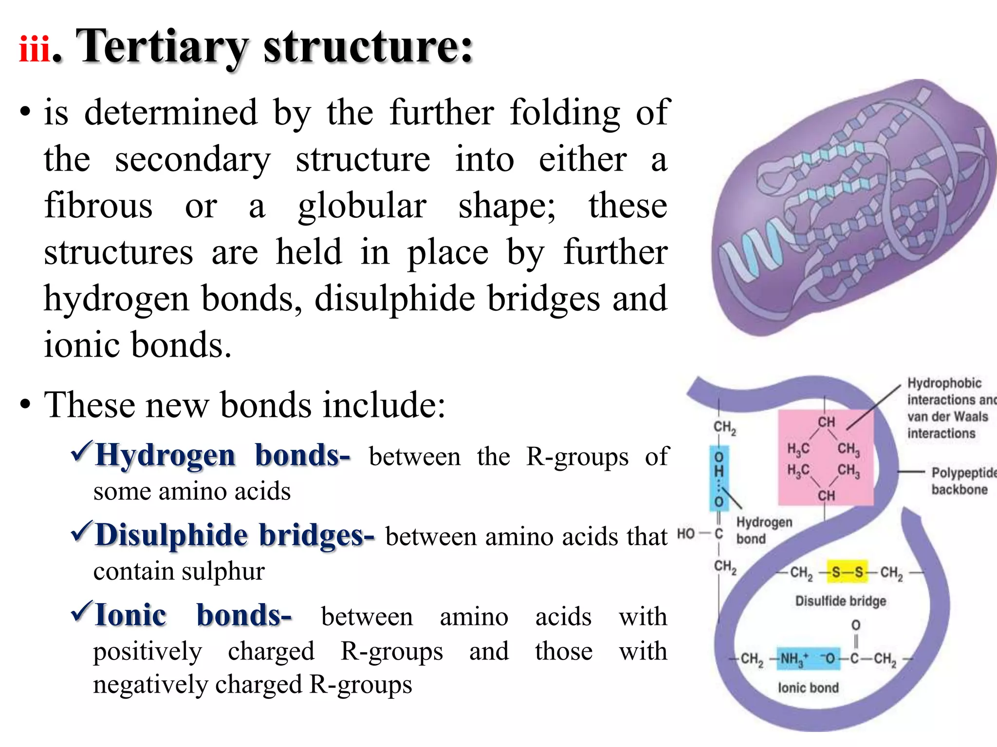 Remedial biology (1-5).pptx