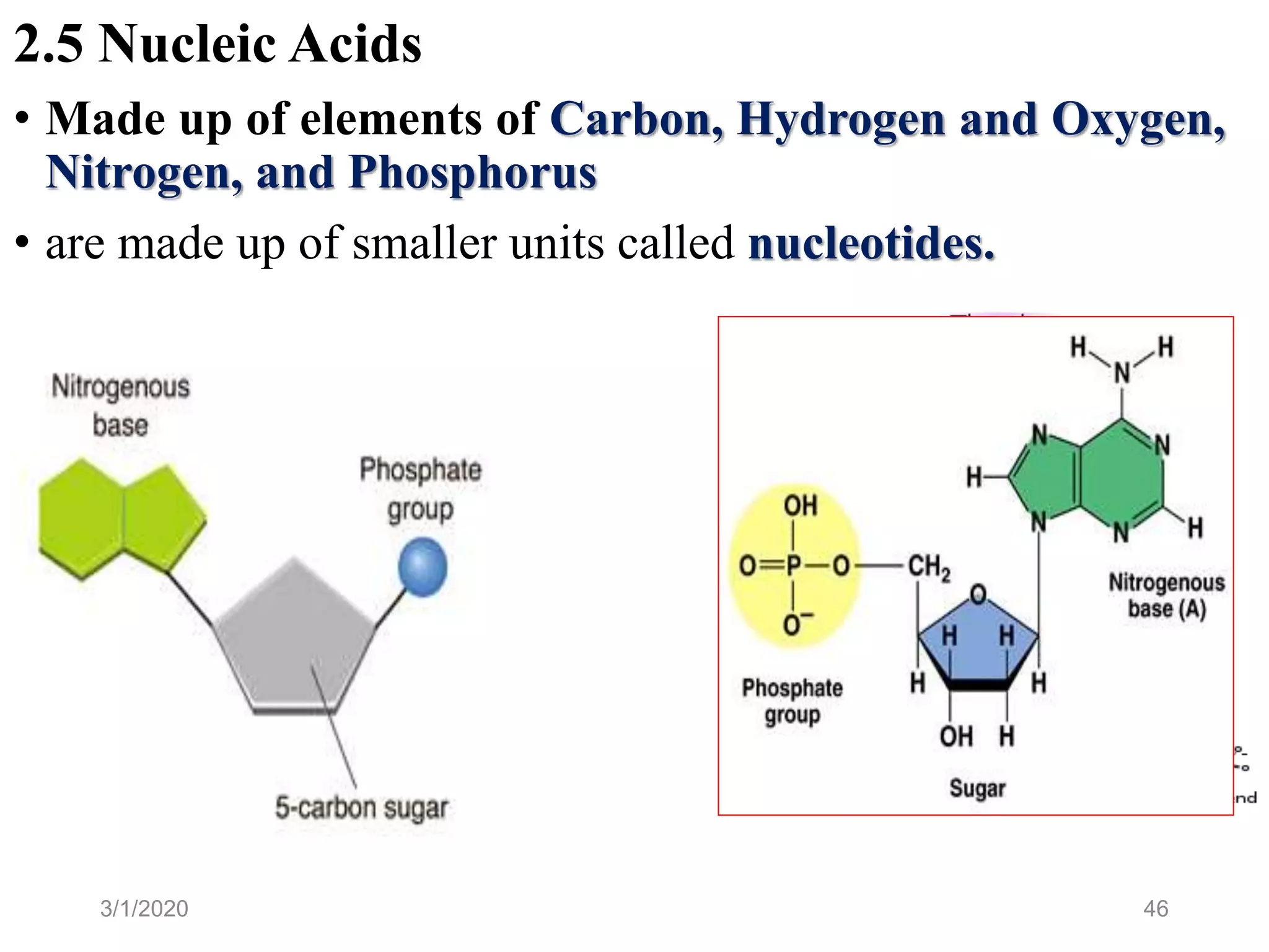 Remedial biology (1-5).pptx