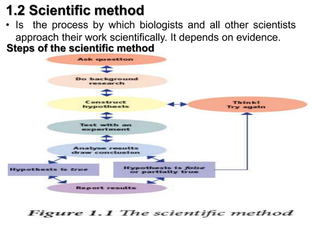 Remedial biology (1-5).pptx