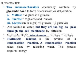 Remedial biology (1-5).pptx