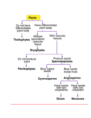 B PHARMA REMEDIAL BIOLOGY Chapter 1.pdf