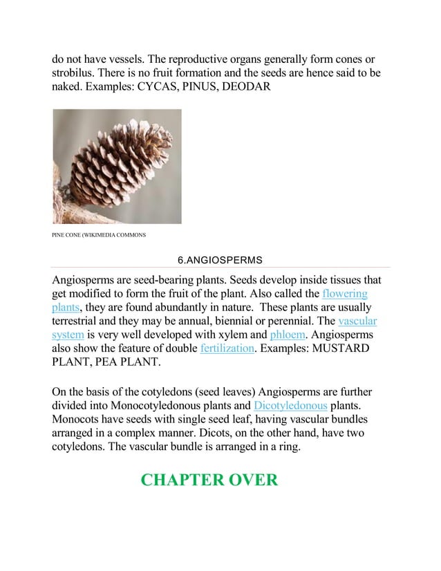 B PHARMA REMEDIAL BIOLOGY Chapter 1.pdf | Gardening | Home & Garden