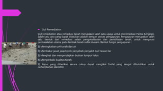 Remediasi badan air dan pesisir | PPTX