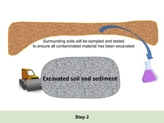 Environmental Remediation Process | PPTX