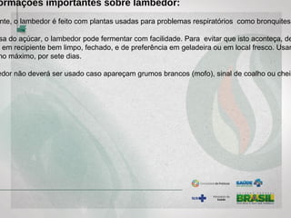 Remedio caseiros com plantas medicinais | PDF