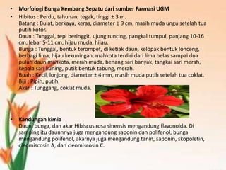 PPT Bunga Kembang Sepatu | PPTX