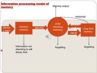 Remembering and forgetting | PPT