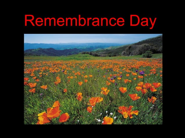 Remembrance day | PPT