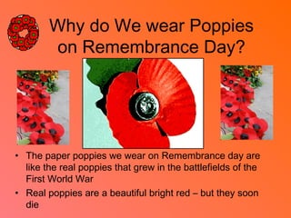 Remembrance day | PPT