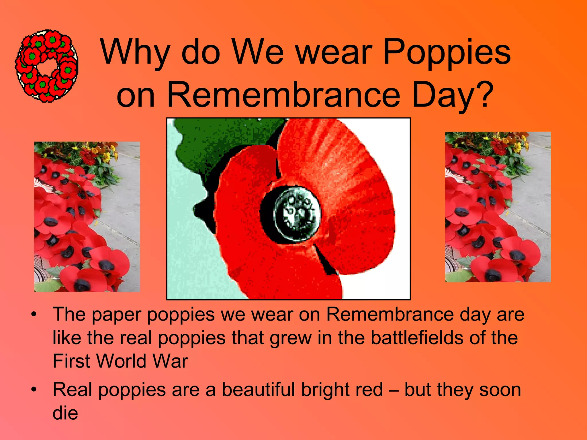 Remembrance day[1] | PPT
