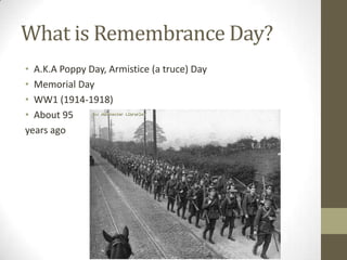 Remembrance Day Powerpoint (PYP) | PPTX