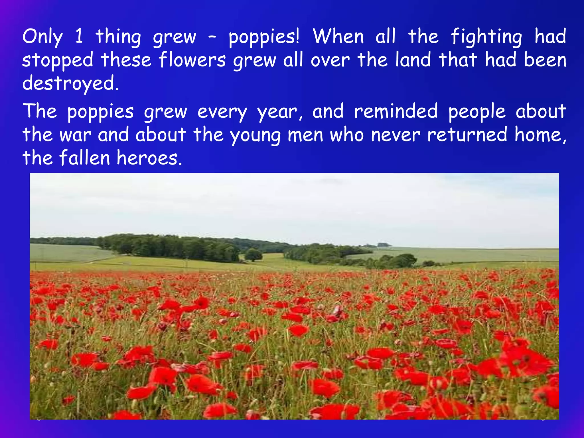 Remembrance Day.ppt