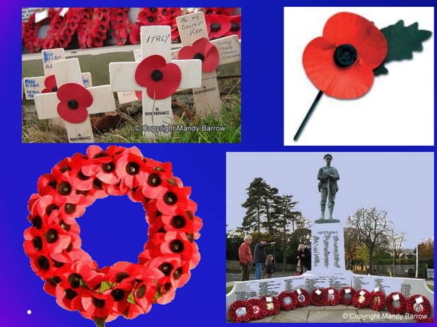 Remembrance Day.ppt | Death, Injury, or Military Conflict | Sensitive ...