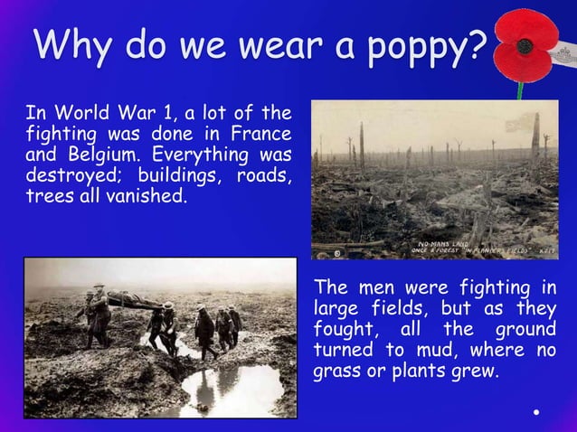 Remembrance Day.ppt | Death, Injury, or Military Conflict | Sensitive ...