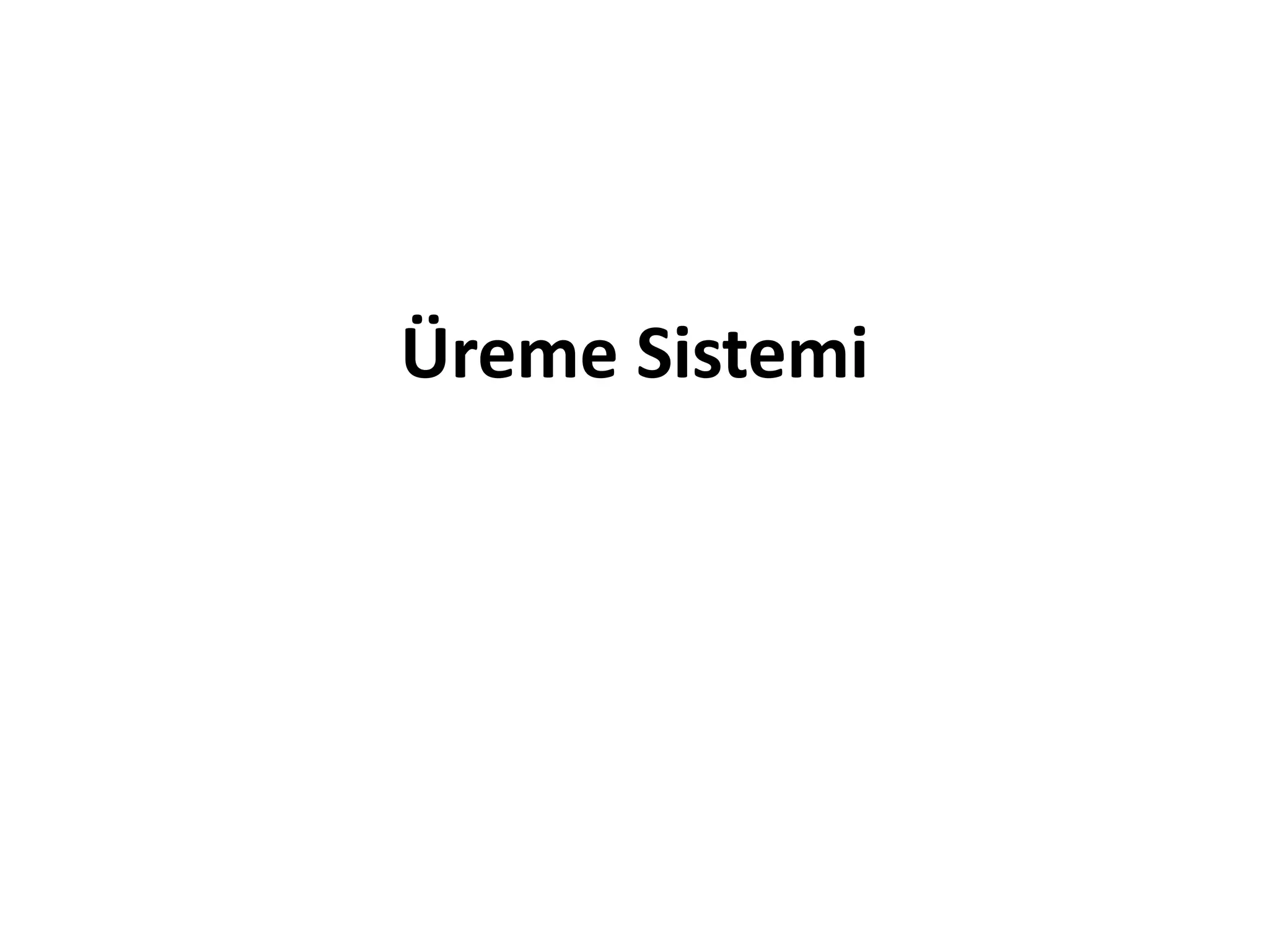 Üreme sistemi.pptx