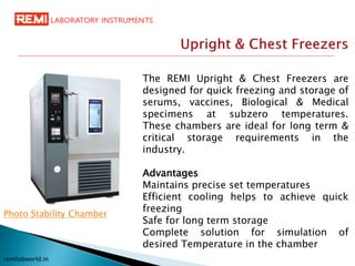 Remi lab 1 | PPSX | Manufacturing Industry | Industries