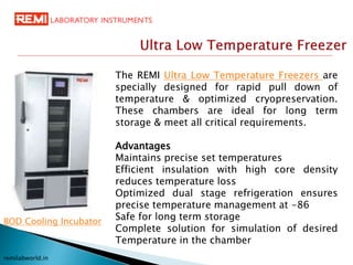 Remi lab 1 | PPSX | Manufacturing Industry | Industries