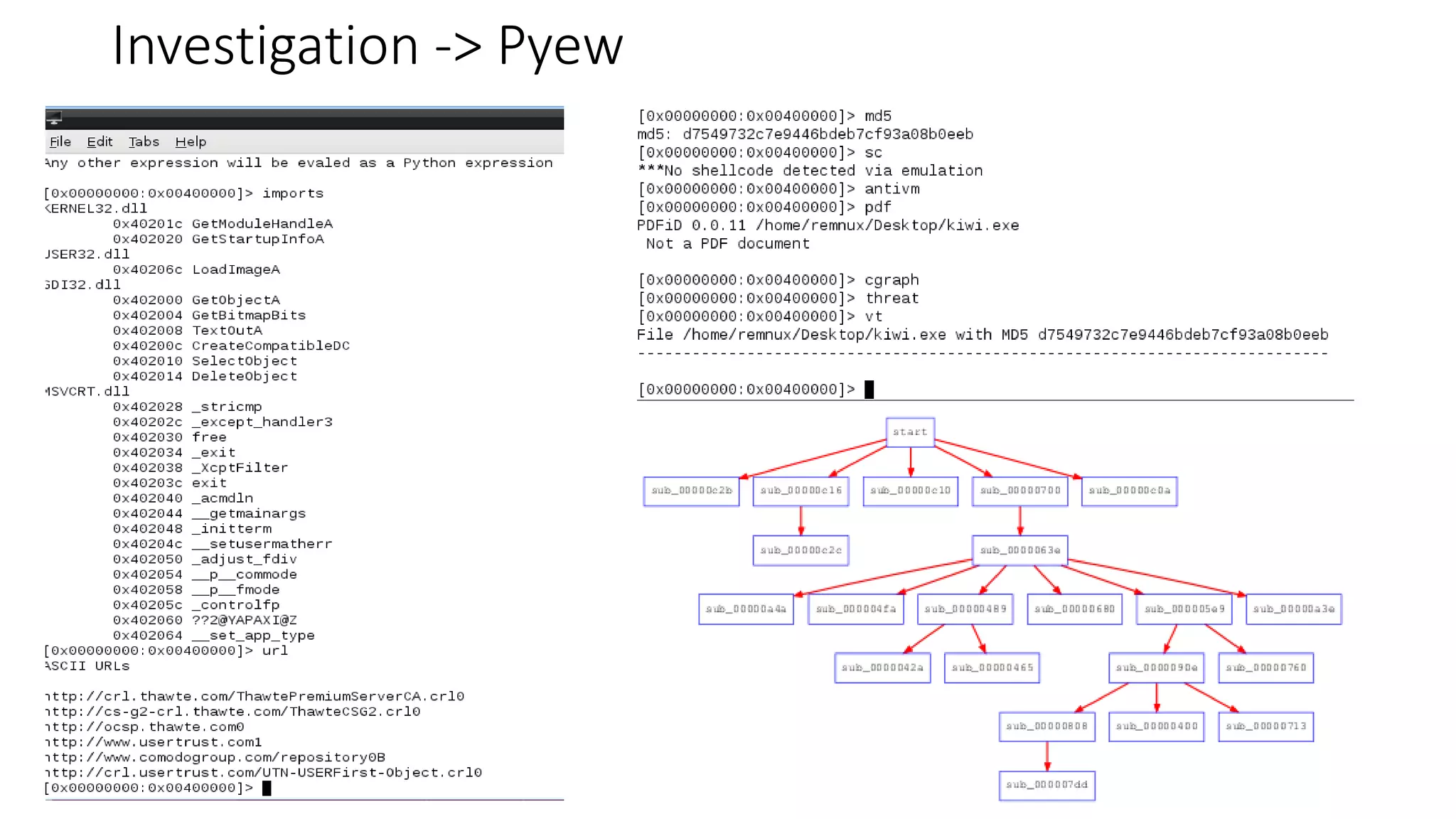 Remnux tutorial-1 Statically Analyse Portable Executable(PE) Files | PPTX