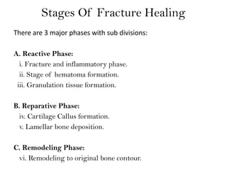 bone remodelling principles and considerations | PPTX
