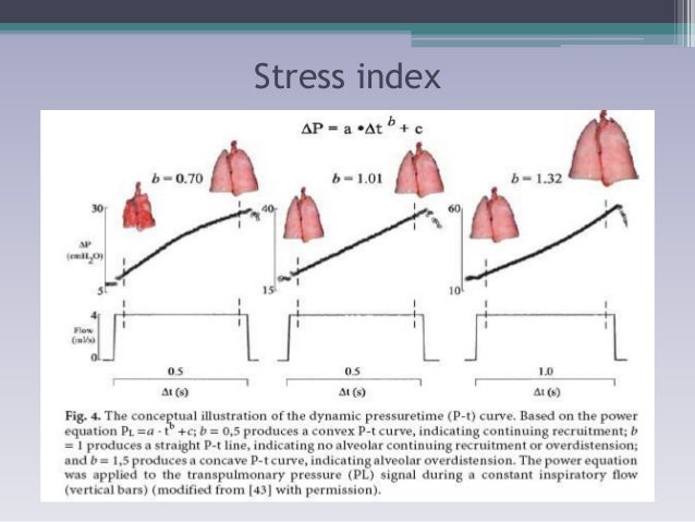 ARDS - principles of mechanical ventilation