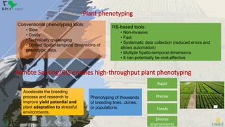 Leveraging Remote Sensing and GIS for Advanced Plant Breeding and ...