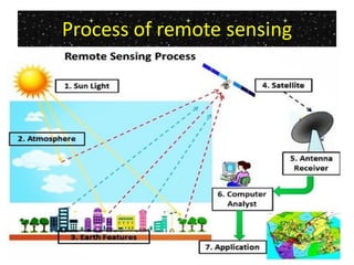 Remote sensing in entomology | PDF