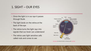 Remote Sensing - The 5 Senses Enhanced | PPT