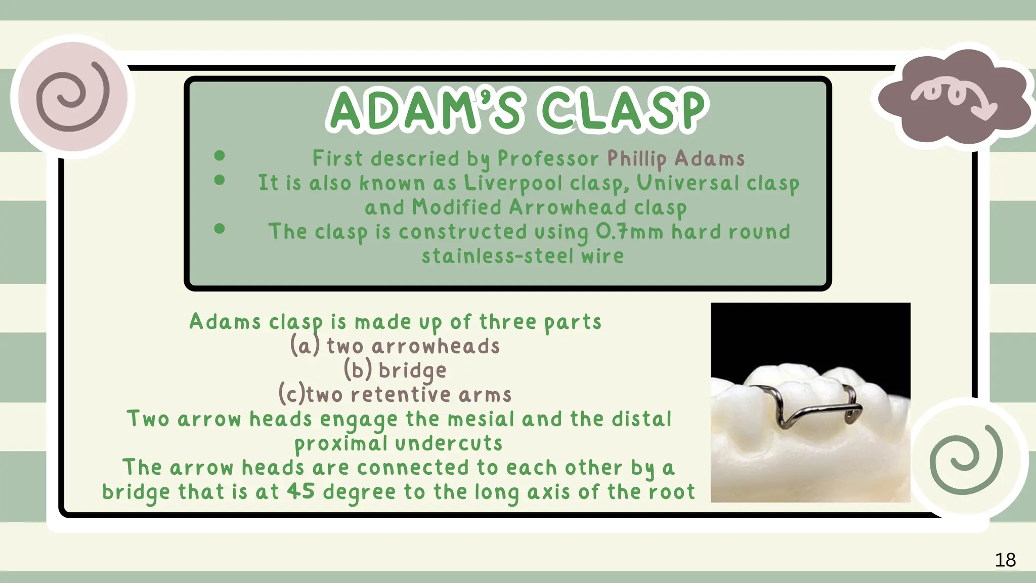 Removable Appliances in Orthodontics | PPT | PDF