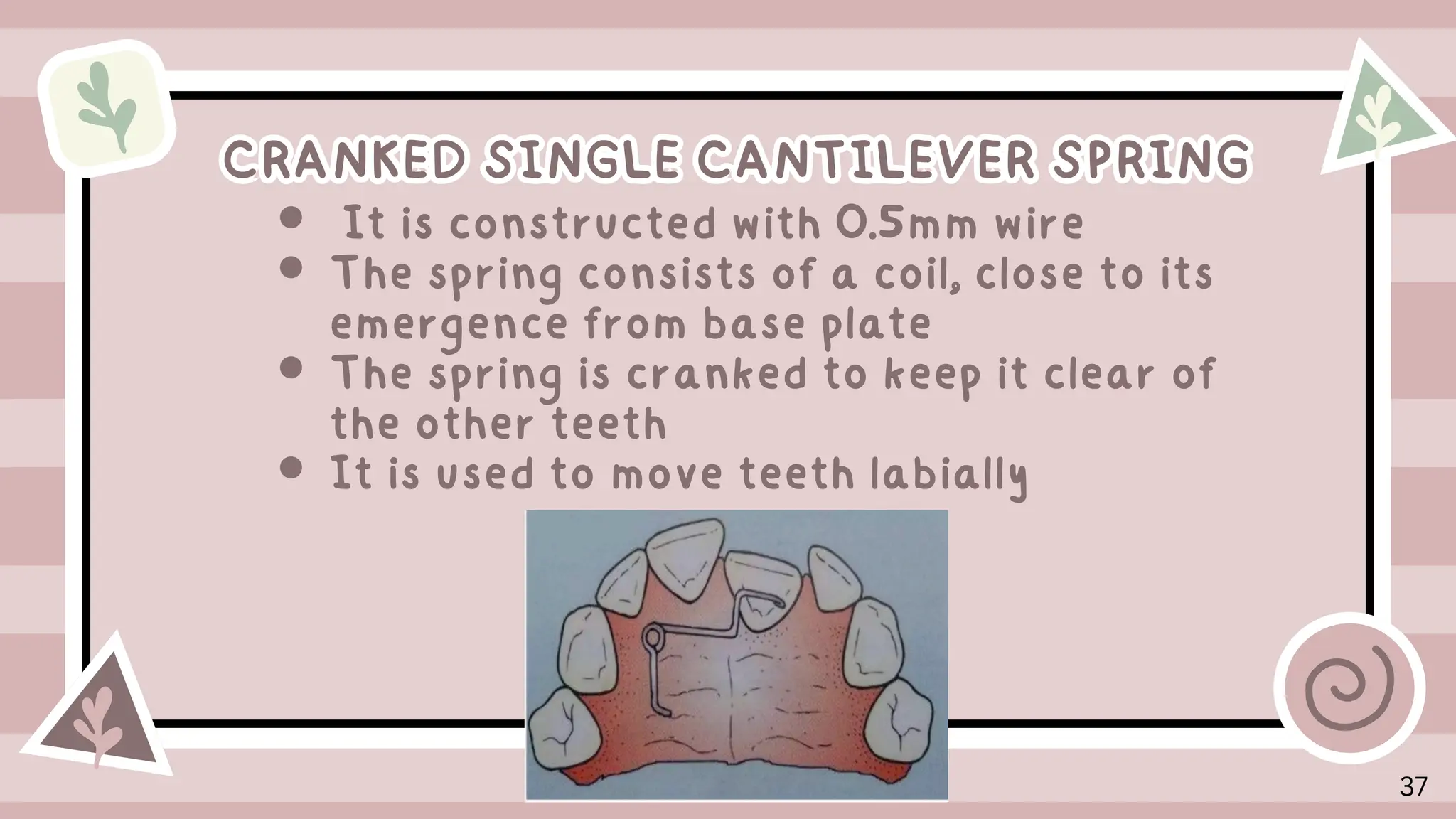 Removable Appliances in Orthodontics | PPT | PDF