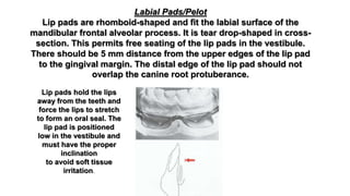 Removable functional appliance 3 | PPTX