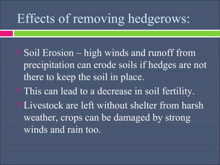 Removal Of Hedgerows | PPT