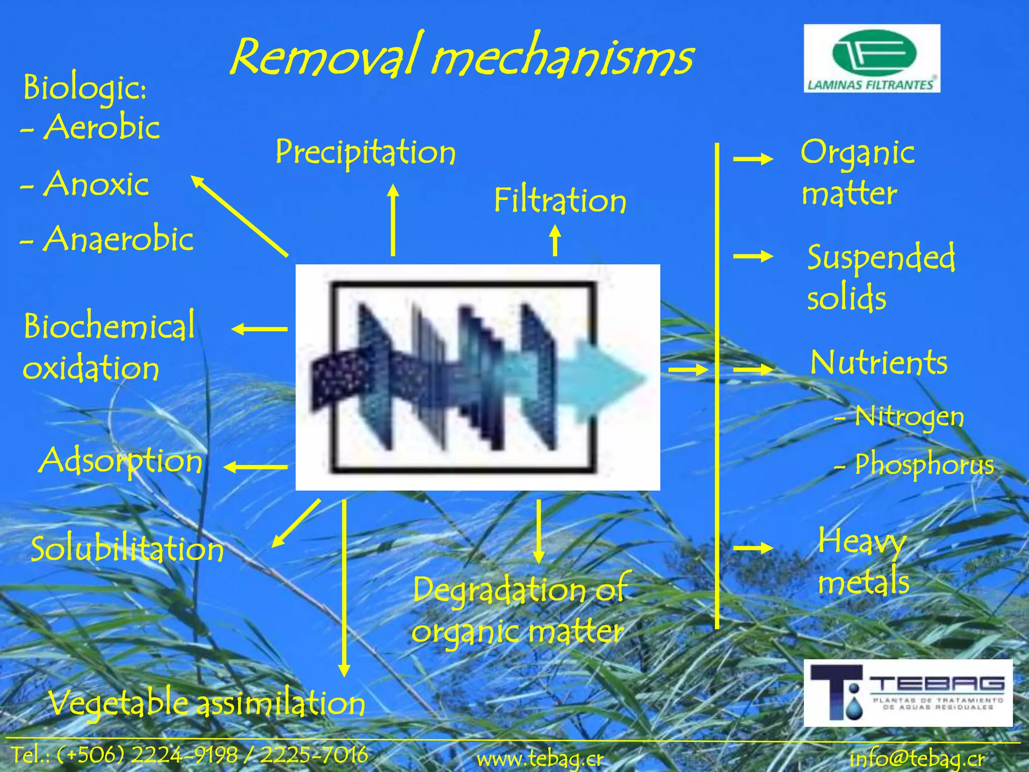 Removal mechanisms | PPT