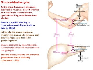Removal of ammonia.pptx