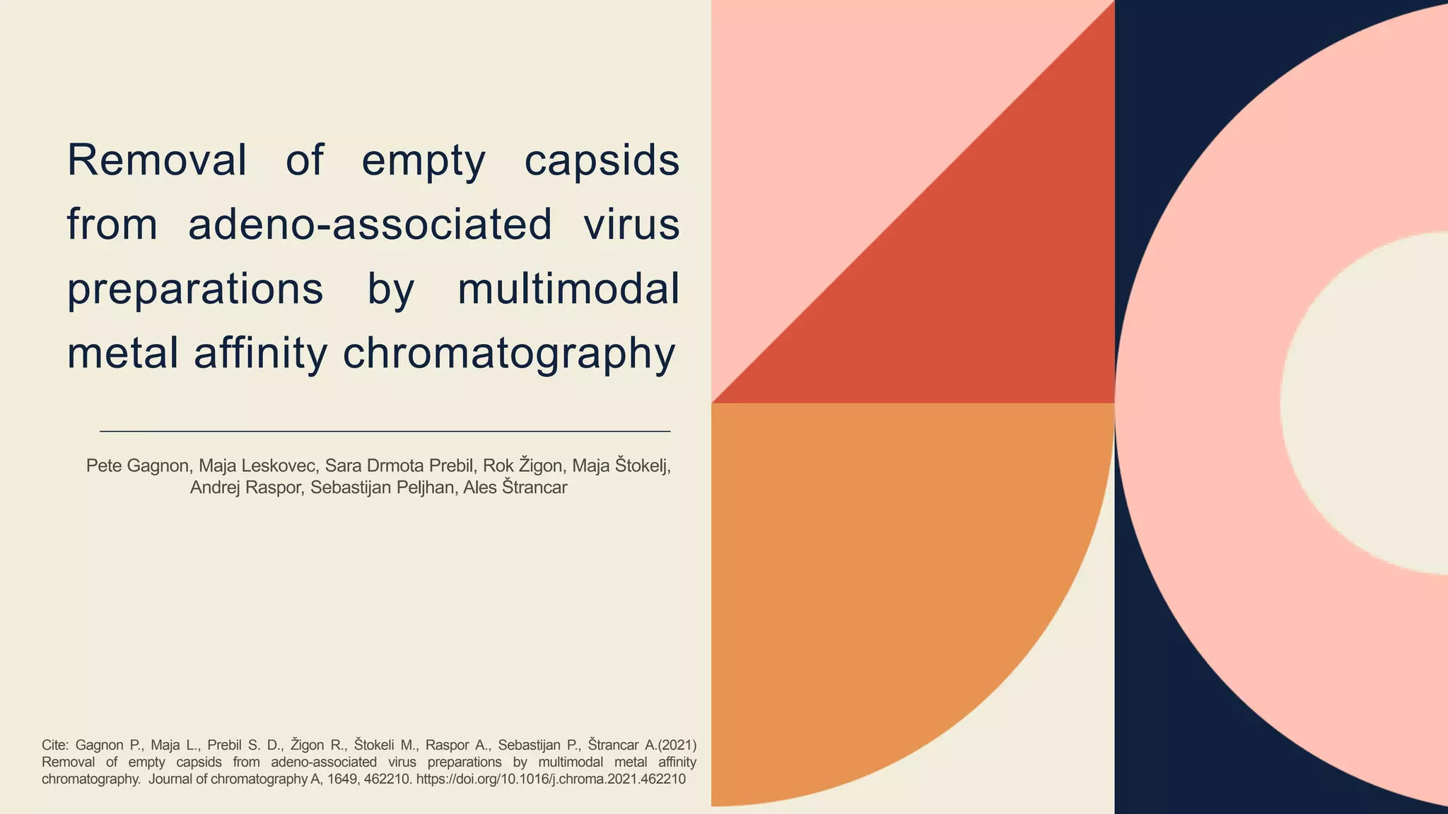 Removal of empty capsids from adeno associated virus preparations by multimodal metal affinity ...