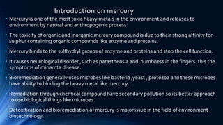Removal of mercury from water using microbes | PPT