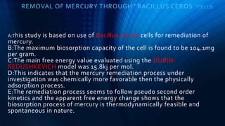 Removal of mercury from water using microbes | PPT