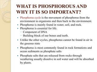 Removal of nitrogen and phosphorous in soil | PPTX