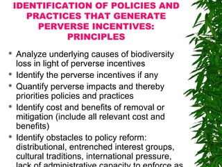 Removal of perverse economic incentives to conserve biodiversity | PPT