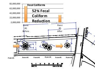 Biomatrix Floating Island Ecosystems Removal Rates | PPT