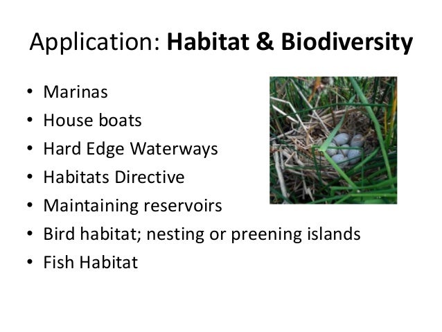 Biomatrix Floating Island Ecosystems Removal Rates | PPT