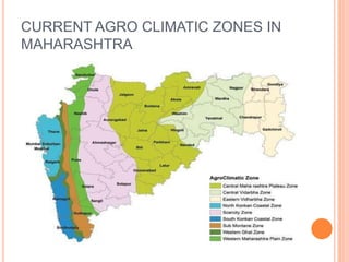 Economicsurveyofmaharashtra.pptx