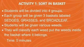 REMOVING WEEDS.pptx