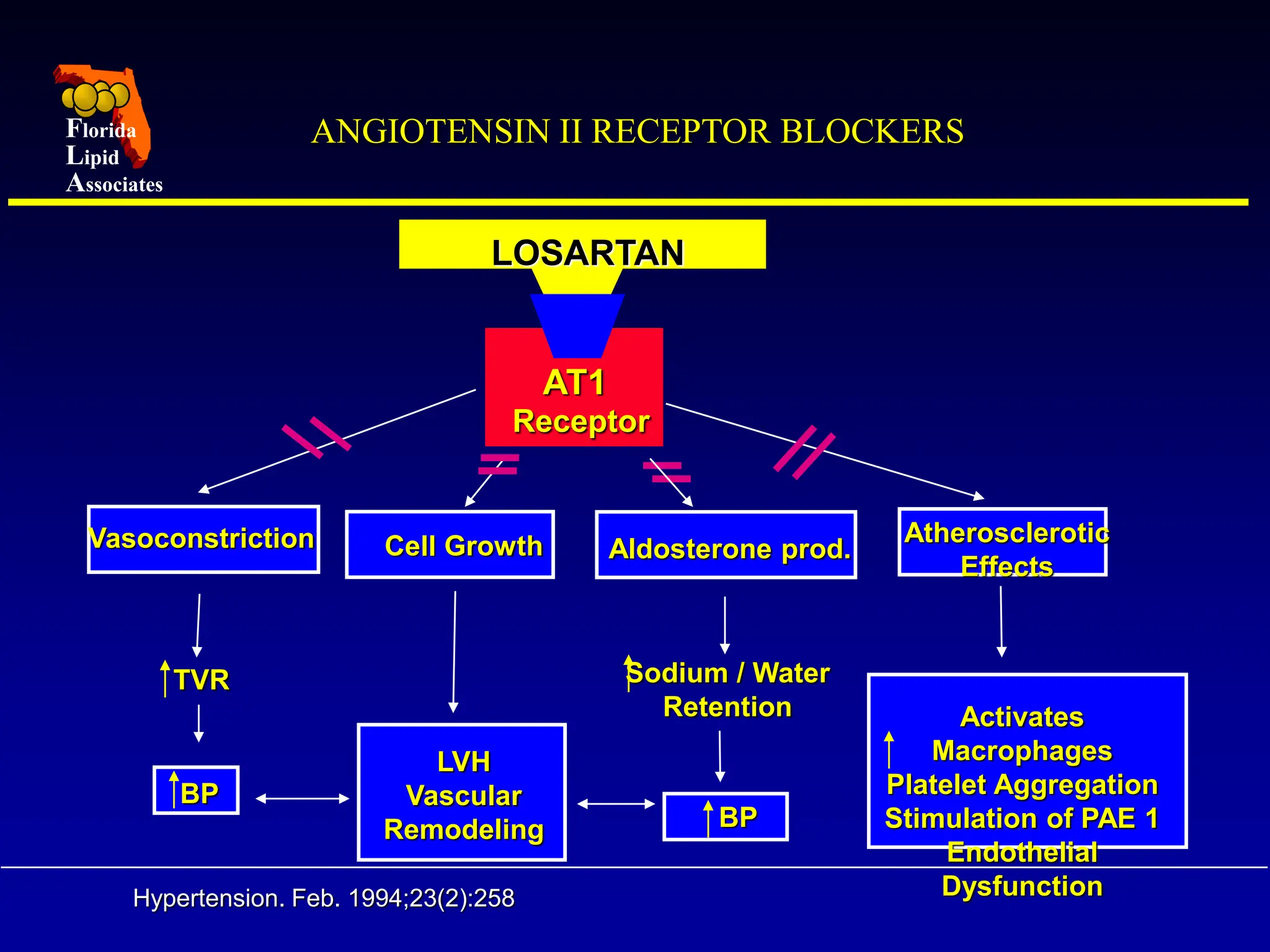 angiotensin II mediated effects on vasculature and kidney | PPT