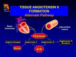 angiotensin II mediated effects on vasculature and kidney | PPT