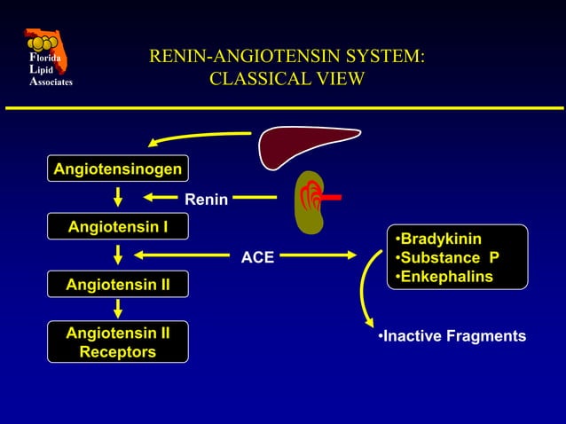 angiotensin II mediated effects on vasculature and kidney | PPT
