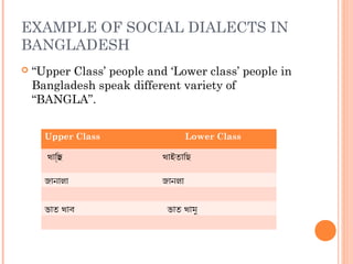SOCIAL DIALECT | PPT