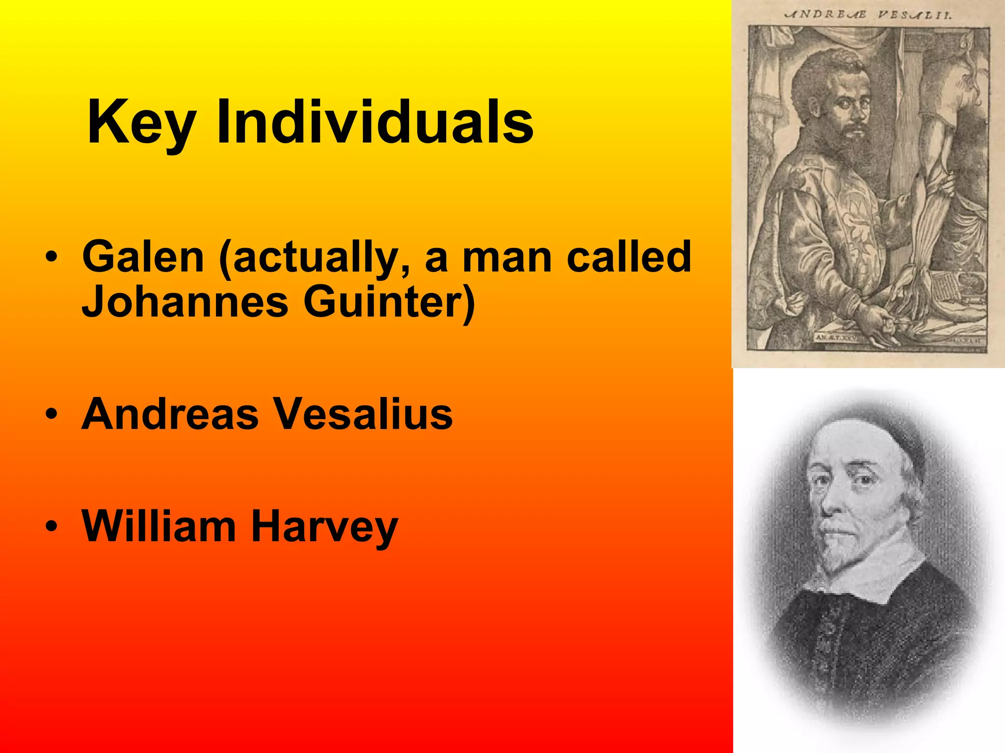 Renaissance Anatomy | PPT